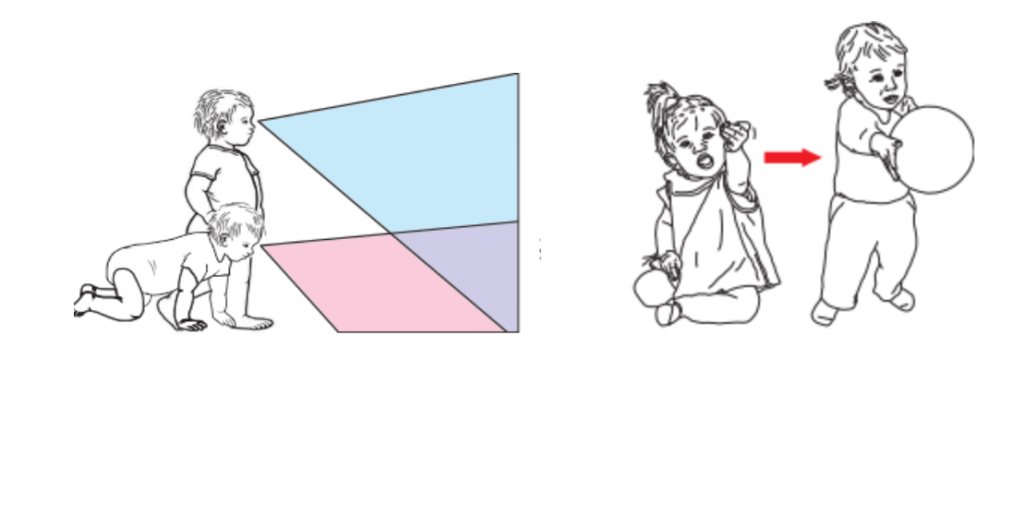 Desenvolvimento da marcha do bebê - Noeh